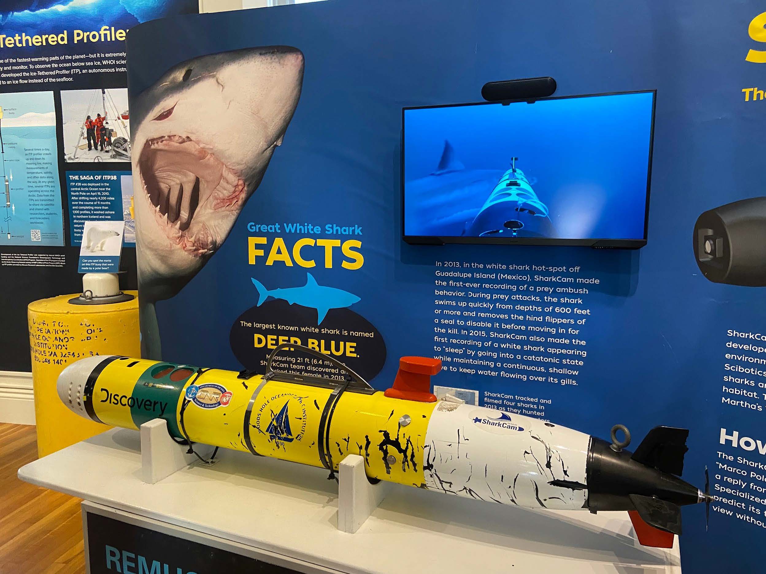 WHOI Matey Sea Education Association WHOI Matey Sea Education Association