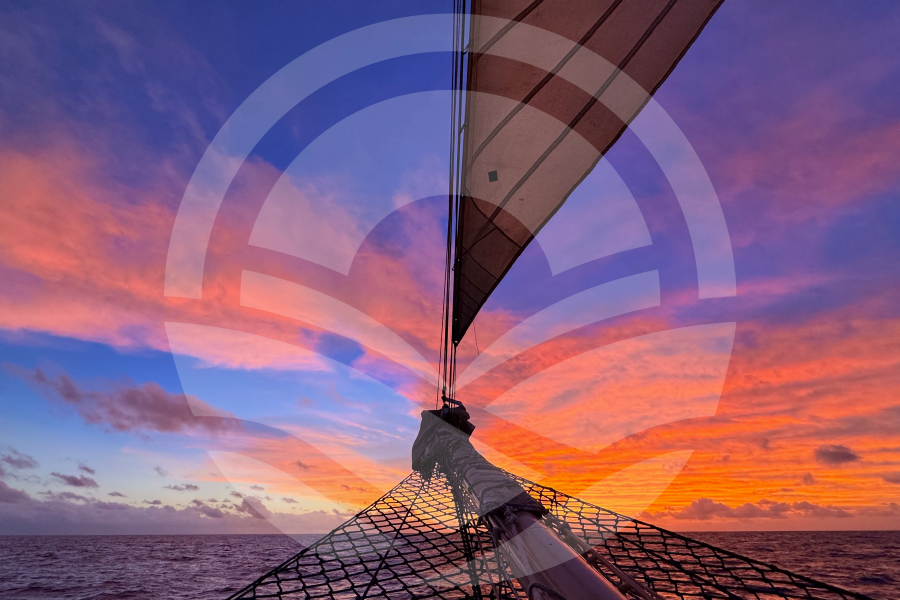 Proctor Ocean Classroom - Sea Education Association